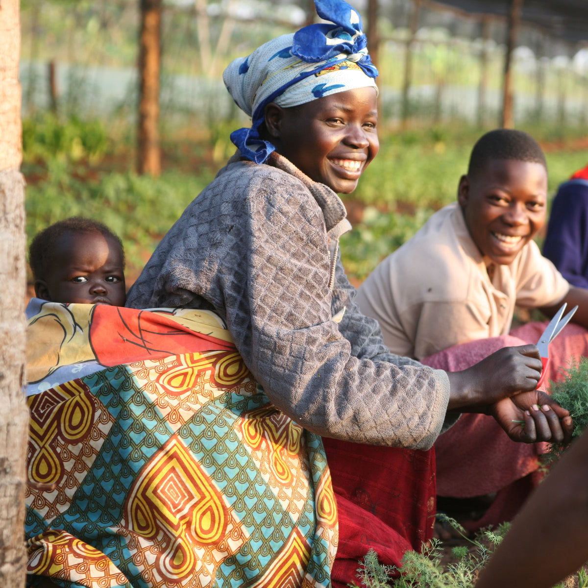 10 Years of Harvests – Mavuno Harvest